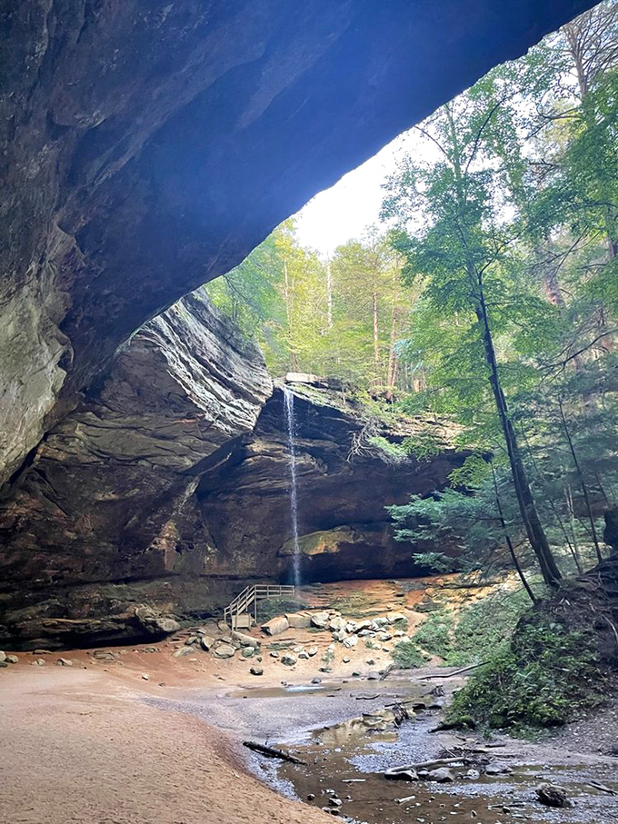 Ash Cave's cathedral-like space creates natural acoustics that would make Carnegie Hall jealous. Just whisper and listen to the magic happen.