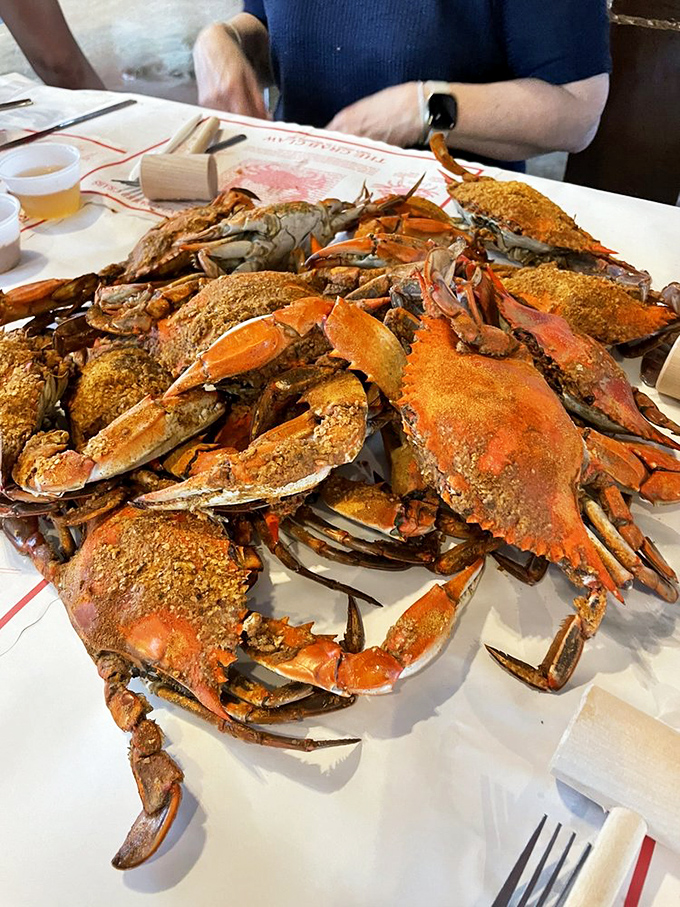 Maryland's famous blue crabs in their full glory&mdash;steamed, seasoned, and waiting to surrender their sweet meat to those willing to work for it.