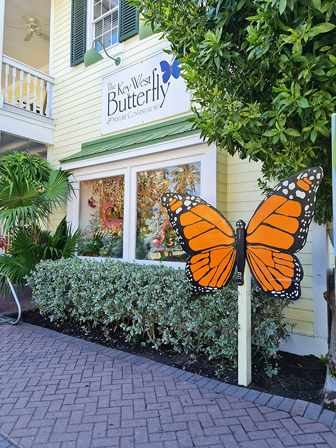 Even butterflies know where to vacation. This cheerful yellow house serves as the ultimate retirement community for winged celebrities.
