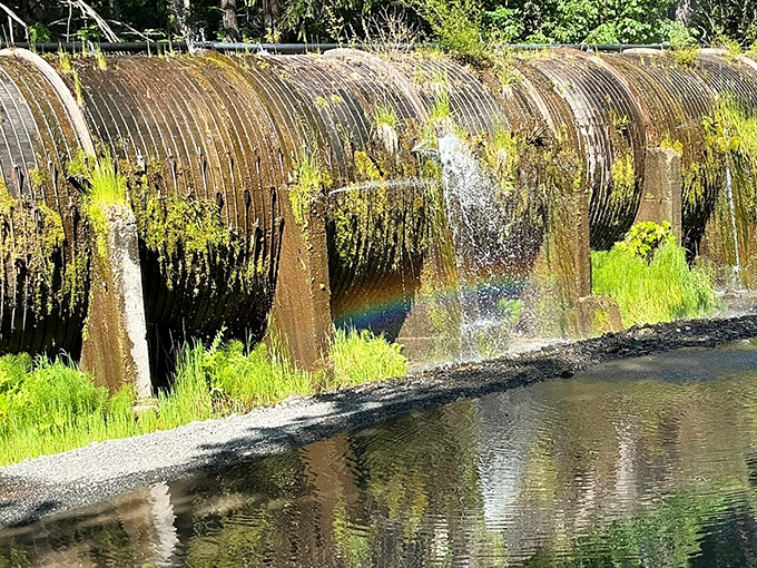 Engineering meets wilderness in these vintage wooden flumes, channeling the North Umpqua's power while creating accidental rainbows along the way.