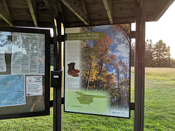 Trail maps that lead to wonder. Cherry Springs' interpretive guides help visitors navigate both the forest paths and the stories behind them.
