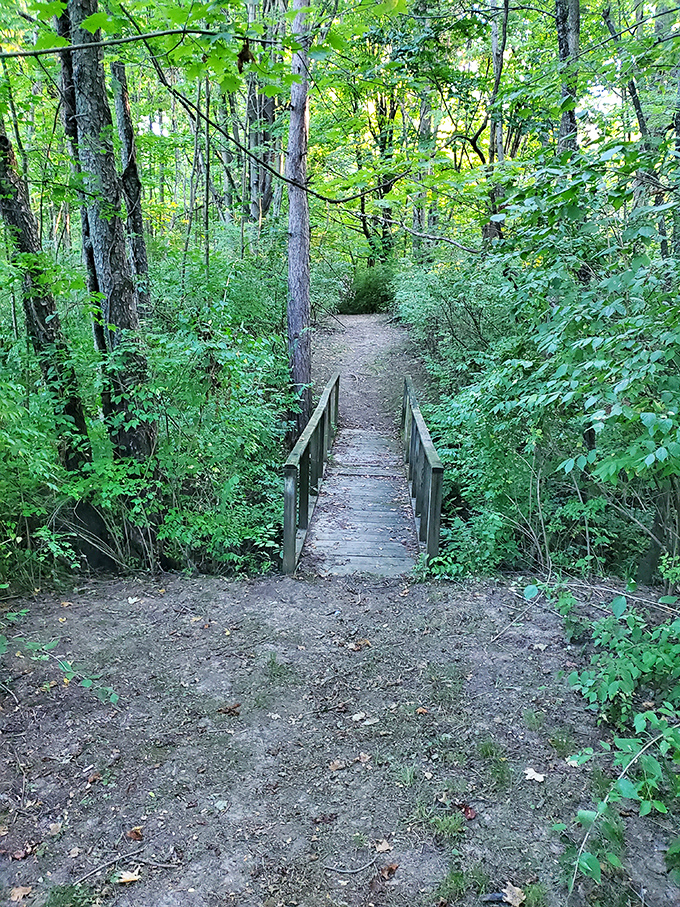 This humble wooden bridge promises adventure like the opening chapter of a storybook – minus the trolls underneath.