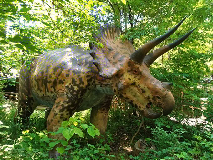 Nature's perfect tank, the Triceratops stands guard among the trees. Those horns weren't just for show&mdash;they were the prehistoric equivalent of a home security system.