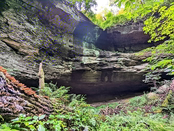 Mother Nature's amphitheater: this hidden rock formation looks like something that should require an admission ticket, yet it's free for all explorers.