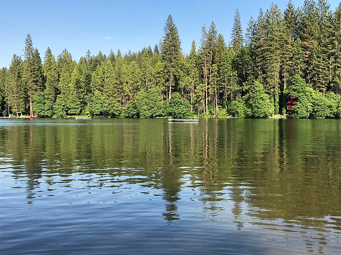 Mirror-like waters reflecting towering pines &ndash; Mother Nature showing off her photography skills at Twain Harte Lake.