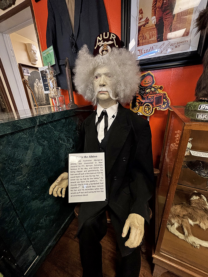 Meet Unzie the Albino, a haunting reminder of carnival sideshow history. His silent presence speaks volumes about our complicated past with human exhibitions.