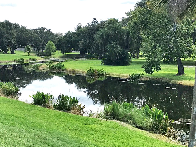 Venetian Gardens showcases Florida's natural beauty with mirror-like waters reflecting a landscape that feels a million miles from tourist chaos.