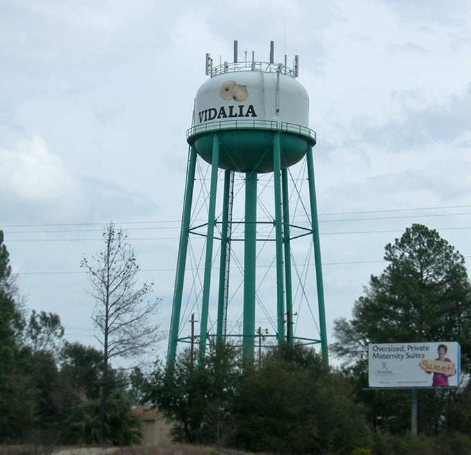 The Vidalia water tower stands like a friendly giant announcing your arrival to onion country, where even the infrastructure has a touch of small-town charm.