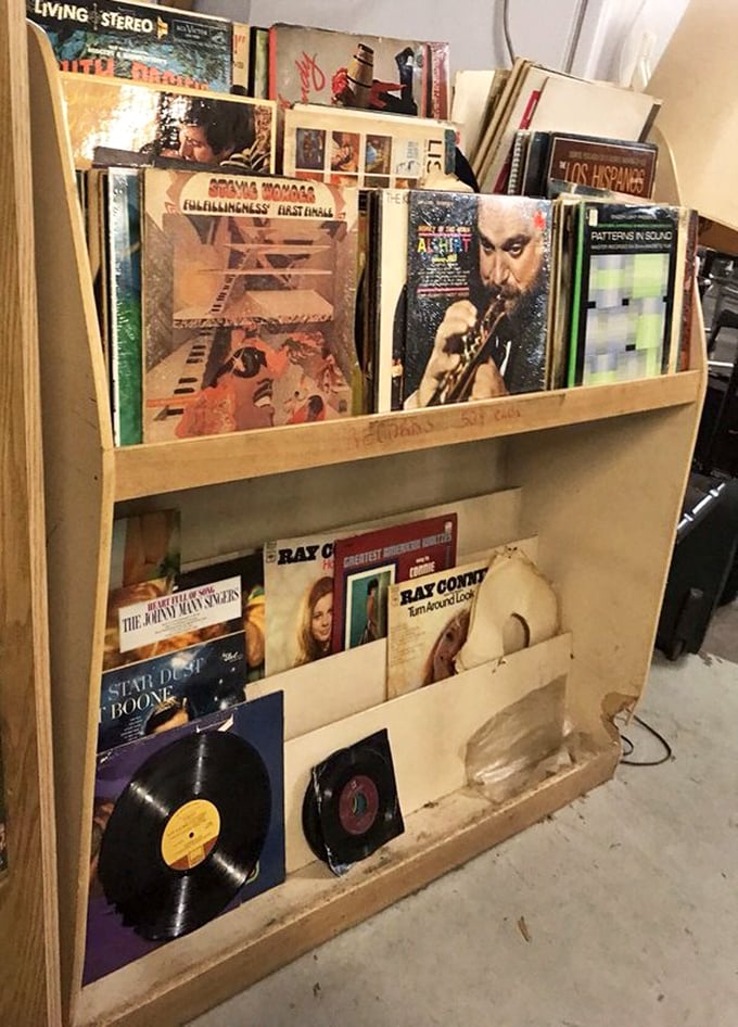Vinyl enthusiasts, prepare your carrying muscles! From Ray Conniff to jazz legends, these record bins hold forgotten soundtracks to decades gone by.
