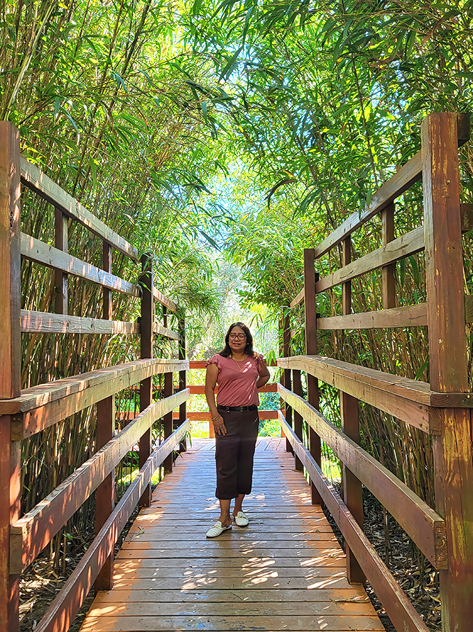 Bamboo creates a natural corridor leading to adventure. The wooden walkway promises discoveries just around the bend.