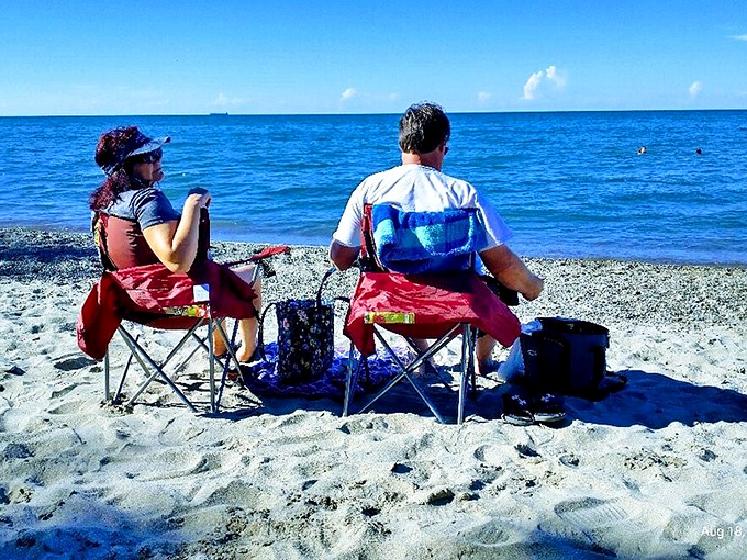 Beach therapy in session&mdash;two wise souls who understand that sometimes the best conversation happens in comfortable silence facing the water.