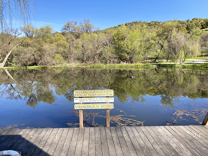 Vrindavan Pond offers tranquility at your own risk. The sign might as well read: "Peaceful reflection guaranteed, lifeguards busy elsewhere."