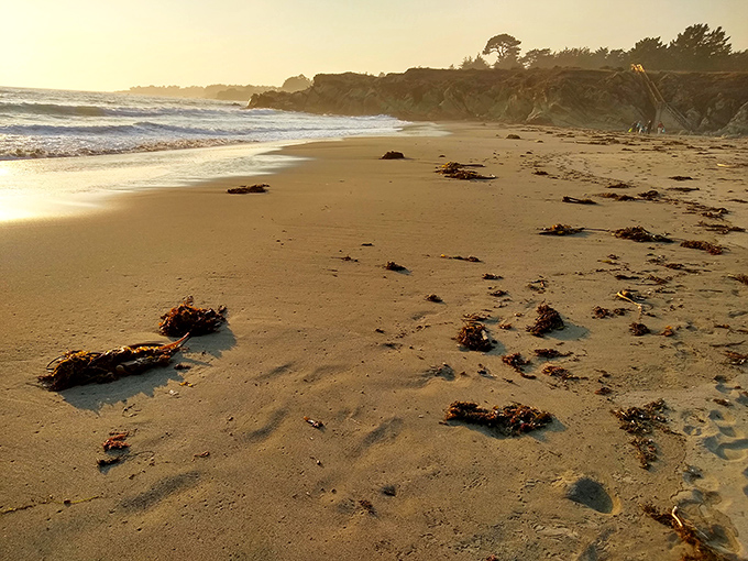 Not all California beaches come with crowds and volleyball tournaments. This stretch of sand offers solitude worthy of a meditation retreat.