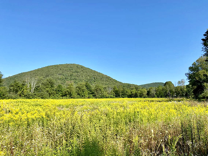 At the Wellsboro Nature trail, nature provides the entertainment with panoramic views of Pennsylvania's wilderness. No admission fee for this million-dollar vista!