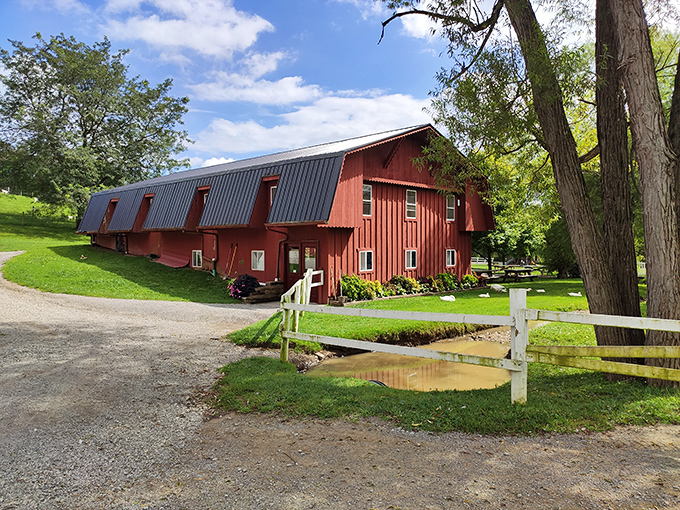 
This classic red barn isn't just Instagram-worthy &ndash; it's a working testament to craftsmanship that predates power tools and has outlasted most modern construction