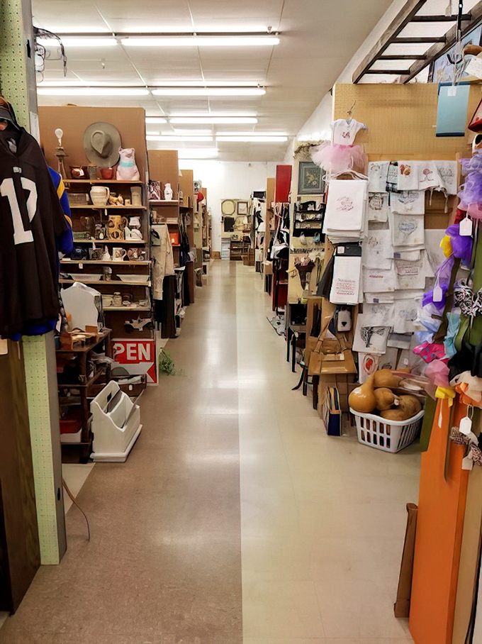 Aisles that stretch into possibility, each shelf a different chapter in America's story. Marie Kondo would have a panic attack here.