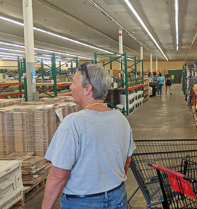 Aisles of possibility stretch before you, each shelf a potential story waiting to be continued in your own home.