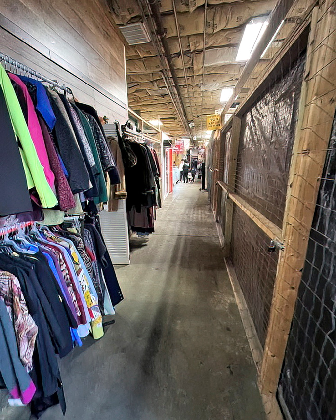 Fashion alley beckons with its rainbow of possibilities. That neon green piece might just be your next conversation starter at dinner parties.