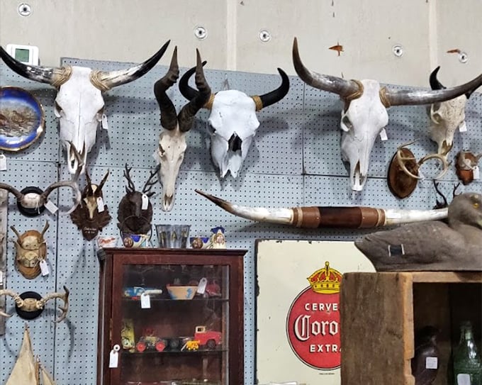 Where the wild things are... and stay. This collection of skulls would make any Western film set designer weak at the knees.