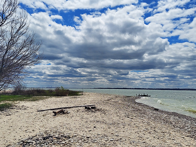 Spring at Pebble Beach offers solitude and driftwood treasures. The dramatic sky performs its daily show for an audience of stones. 