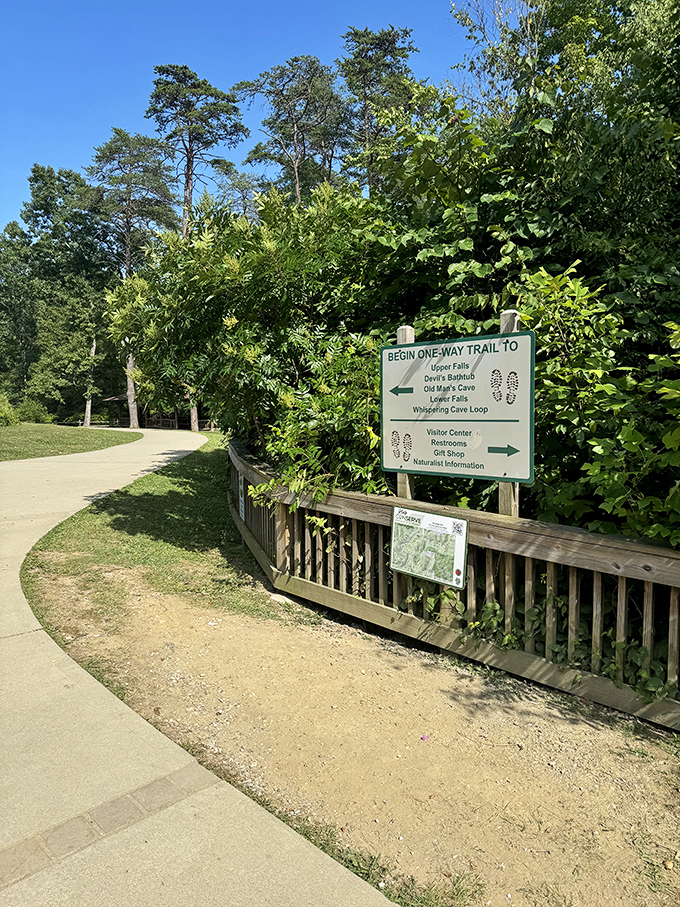 Decision time in paradise. Left for waterfalls, right for creature comforts&mdash;like choosing between dessert now or saving room for later. 