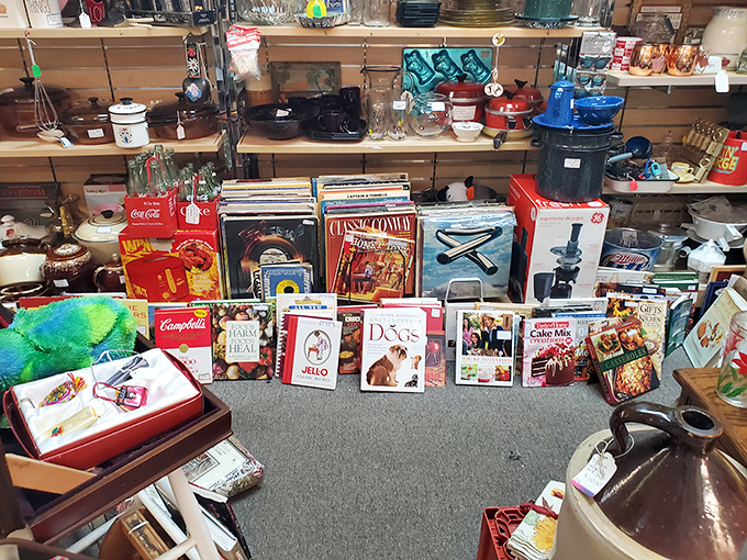 Cookbook heaven! From Campbell's classics to forgotten Jell-O masterpieces, these culinary time capsules remind us that food trends are deliciously cyclical.