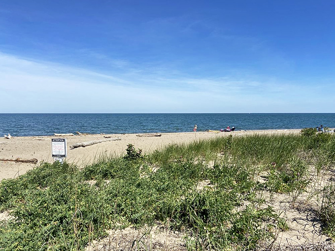 Where dune grasses meet pristine shoreline. If you squint just right, you might convince yourself you're in the Hamptons.
