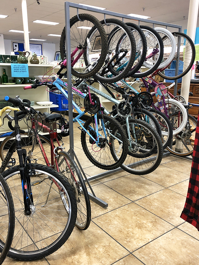 Mountain bikes hang like two-wheeled art installations, ready for their next cycling adventure.