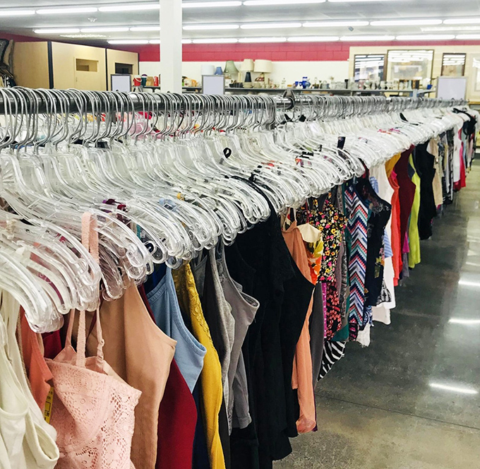 Rainbow rows of potential wardrobe revivals hang with military precision. The thrill of the hunt is finding that perfect blouse hiding in plain sight.