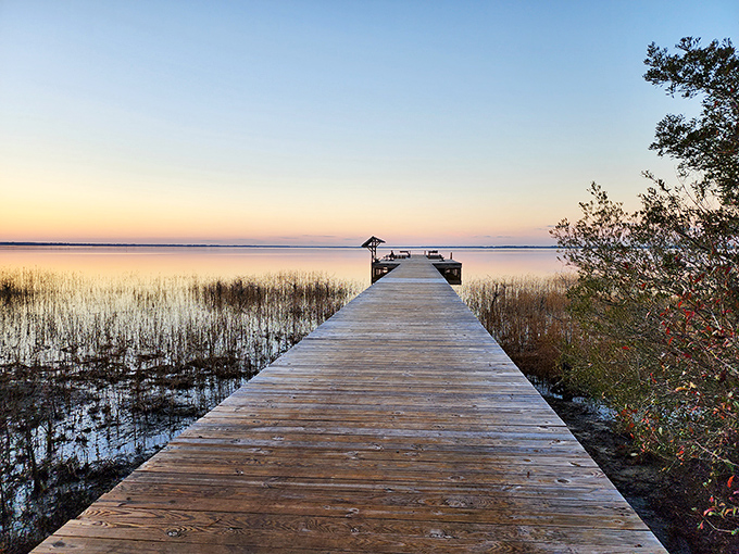 This wooden boardwalk stretches toward infinity, promising adventure at every step. Thoreau would have built a cabin at the end.
