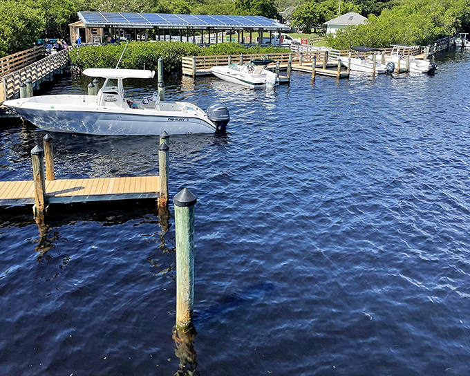 Where boats come to rest after delivering dreamers to island time. This dock is the last piece of civilization before nature takes over.