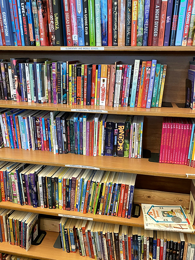 Bibliophiles rejoice! The book section at MAM is meticulously organized by reading level, offering literary treasures at prices that would make your Kindle jealous.