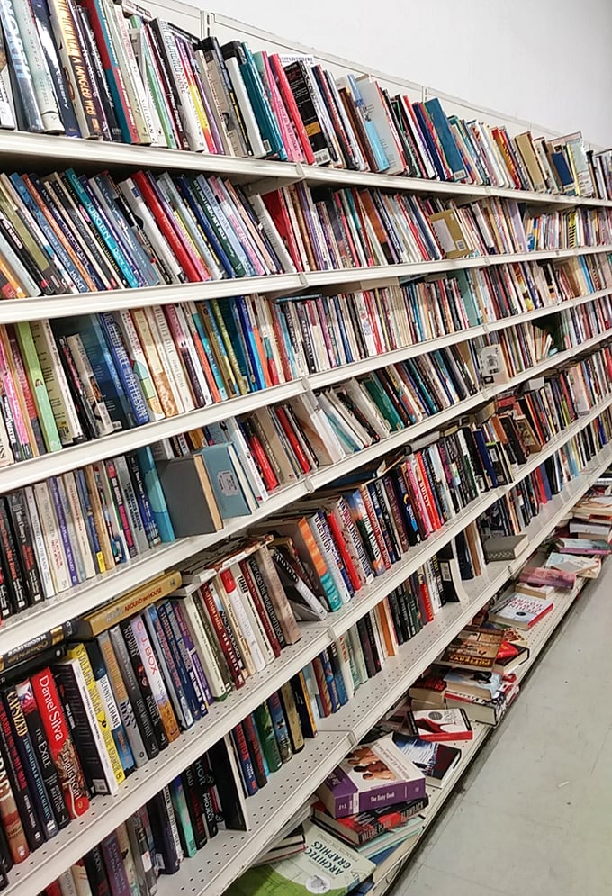 Literary heaven for bookworms on a budget! Thousands of stories waiting to be rediscovered, from forgotten bestsellers to quirky cookbooks.