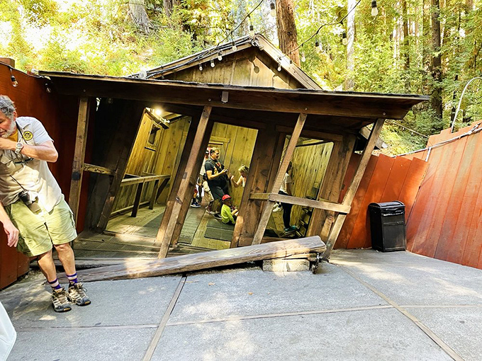Defying gravity and common sense, this tilted cabin has been making visitors question reality since the 1940s. Even the straightest thinkers leave crooked.