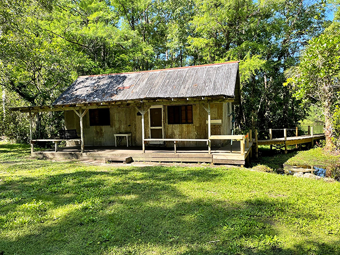 Rustic charm meets swamp sophistication. This old cabin looks like it has stories to tell&mdash;probably involving mosquitoes, moonlight, and the occasional curious panther.