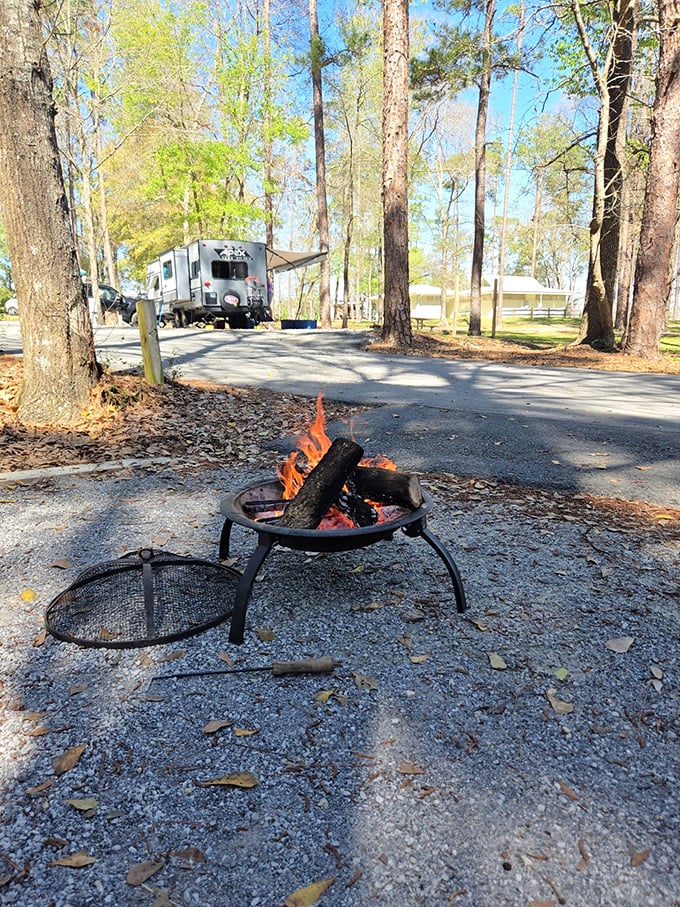 Camping with a side of adventure &ndash; fire pits, tall pines, and the distant sound of falling water make this campsite better than any five-star hotel.