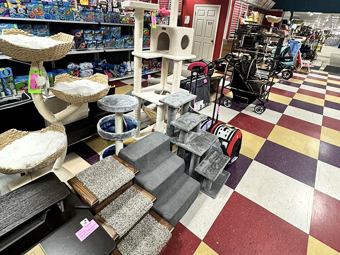 Cat condos galore! Your feline overlord deserves a palace, and here's where you'll find one that won't require a second mortgage. 