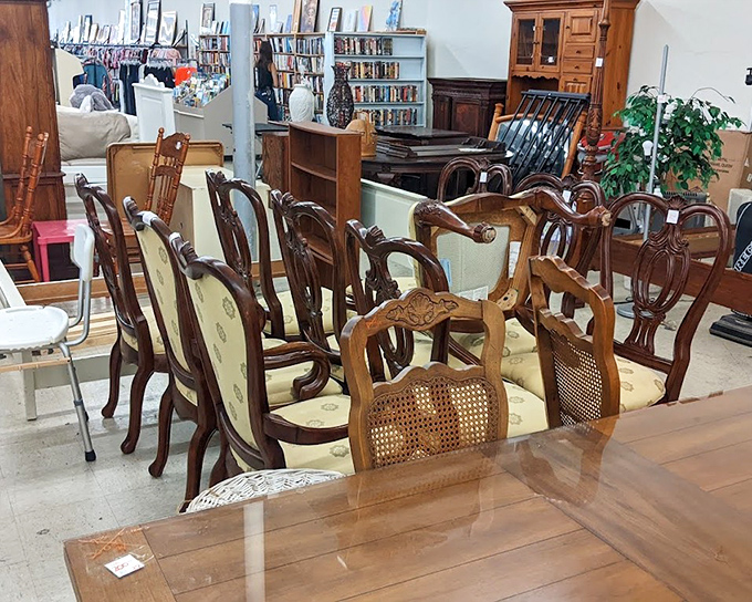 Chair-a-palooza! An aristocratic gathering of dining chairs waits patiently for someone to take them home for less than the cost of a fancy dinner out.