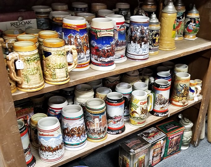 Beer stein heaven! These aren't just mugs; they're conversation pieces waiting to make your home bar the neighborhood's most interesting watering hole.