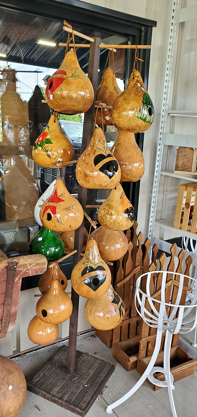 These decorative gourds aren't just birdhouses—they're whimsical works of art that bring a touch of nature indoors.