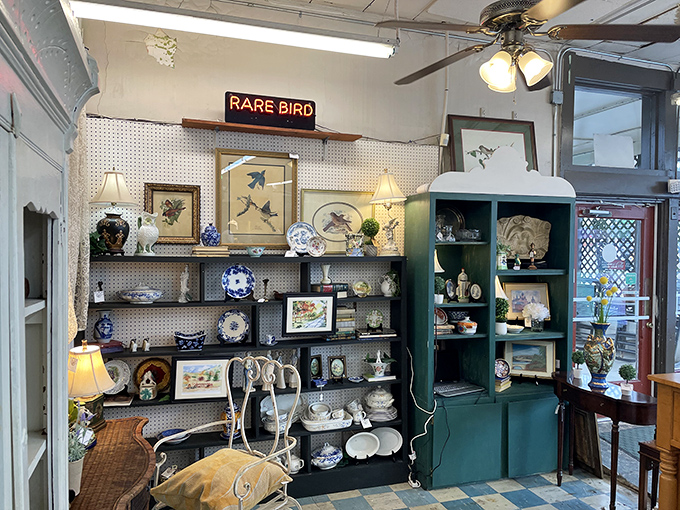 The "Rare Bird" sign watches over a collection of porcelain and collectibles that would make any dinner party conversation instantly more fascinating.