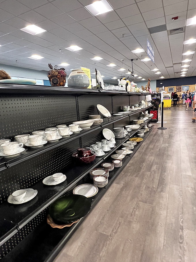 Dinnerware that could tell a thousand stories. These plates have hosted everything from 1970s pot roasts to modern brunches.