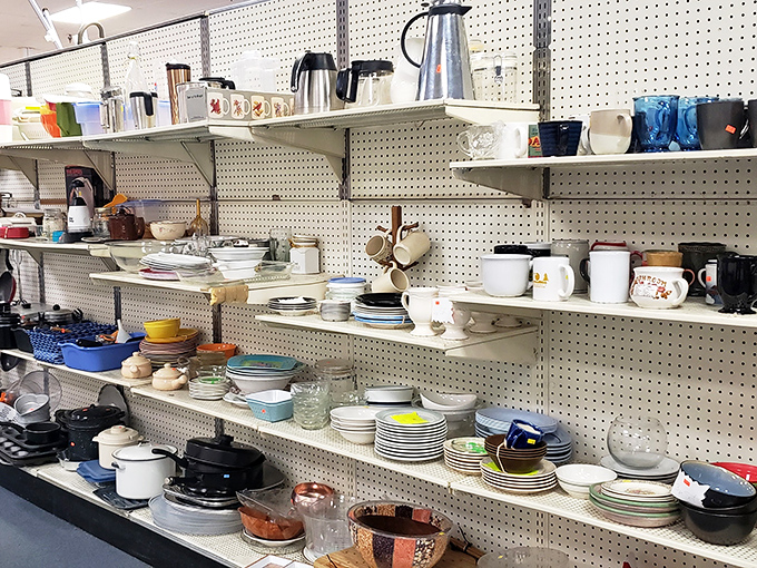 Dinnerware heaven! Every plate tells a story, and at these prices, you can collect enough stories to host a literary dinner party.