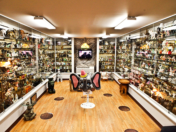 Thousands of elephant figurines create a visual symphony that would make any collector weep tears of joy.