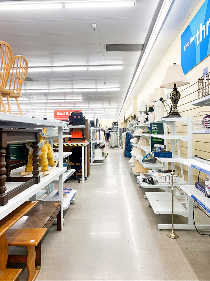 The home goods aisle stretches into infinity, a testament to how many lamps, chairs, and tchotchkes we cycle through in a lifetime.