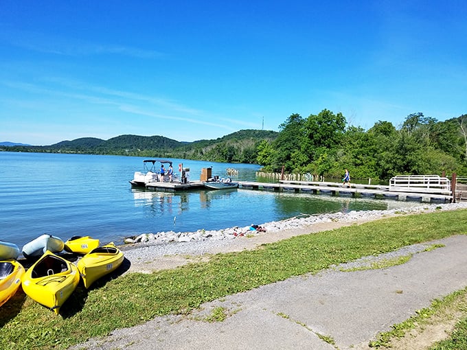 Adventure headquarters where memories launch by the dozen. Yellow kayaks waiting patiently like taxi cabs for water-bound explorers.