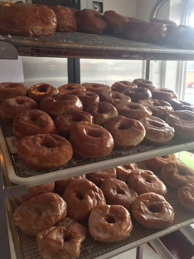 Donut nirvana exists, and it's stacked three shelves high. These glazed beauties aren't just breakfast—they're an edible art form.