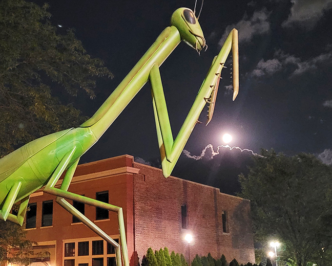 As night falls, KokoMantis takes on an eerie glow against the moonlit sky, like something from a 1950s sci-fi movie&mdash;but friendlier.