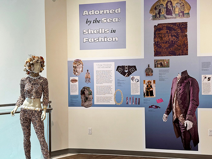Who knew shells could be fashion-forward? This exhibit showcases how humans have adorned themselves with ocean treasures for centuries.