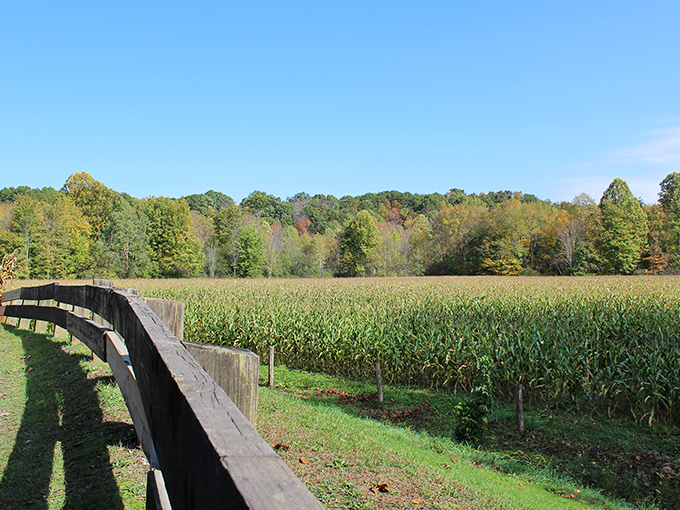 Rolling green fields surround this hidden gem like nature's own welcome mat for visitors.